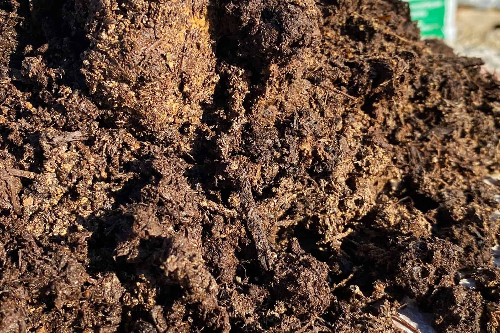 How build healthy soil over winter | Whispering Hills Nursery