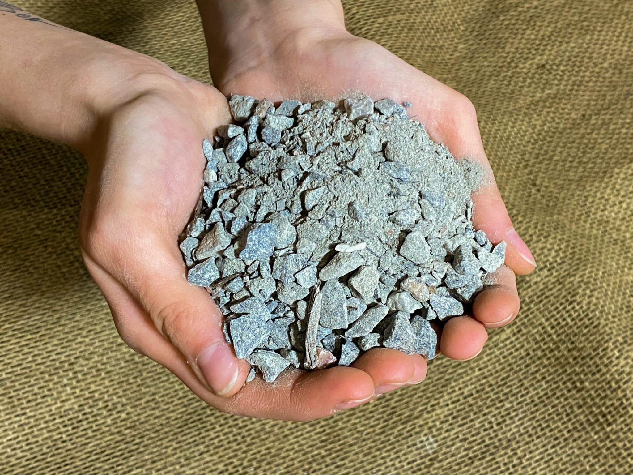 Shooting Star Pathway | Whispering Hills Nursery