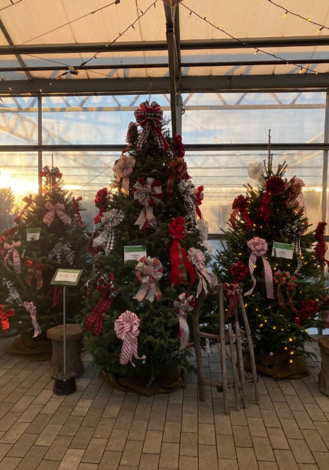 Whispering Hills Garden & Landscape Center | 847-658-5610